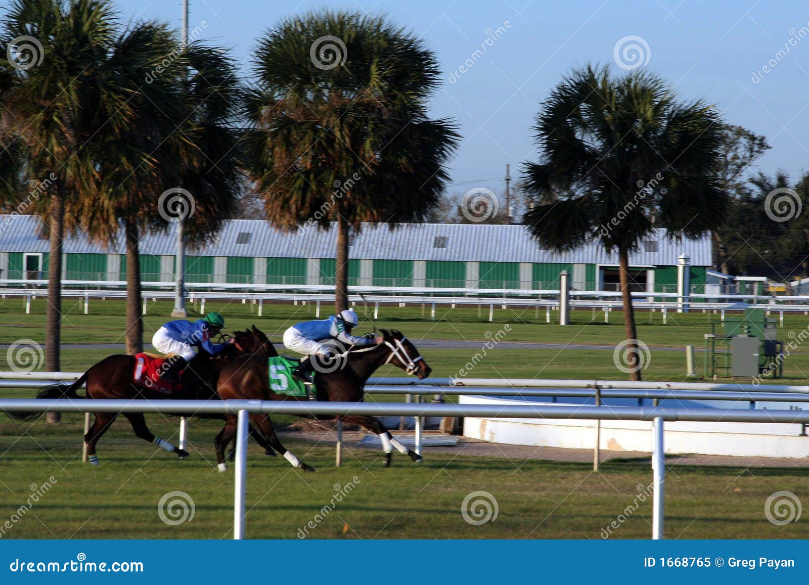 Horse Race stock image. Image of orleans, race, fair, thoroughbred ...
