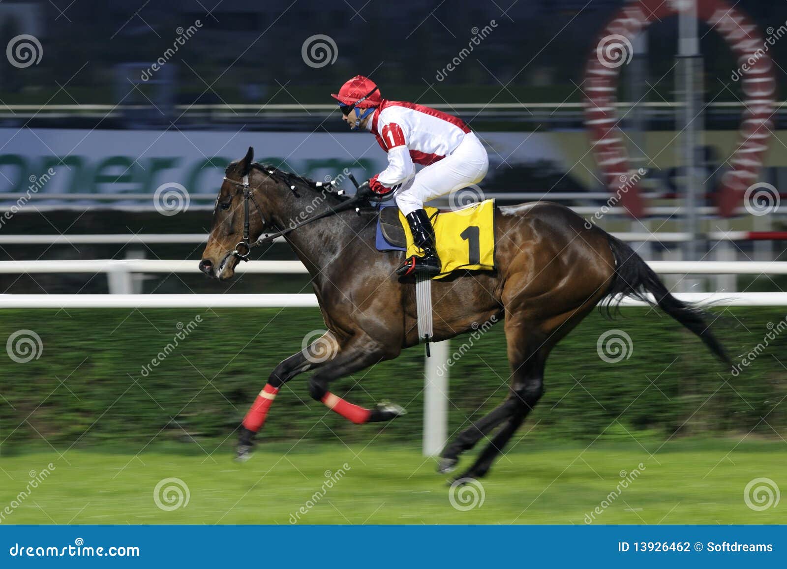 HORSE RACE FINISH editorial photography. Image of gallop - 13926462