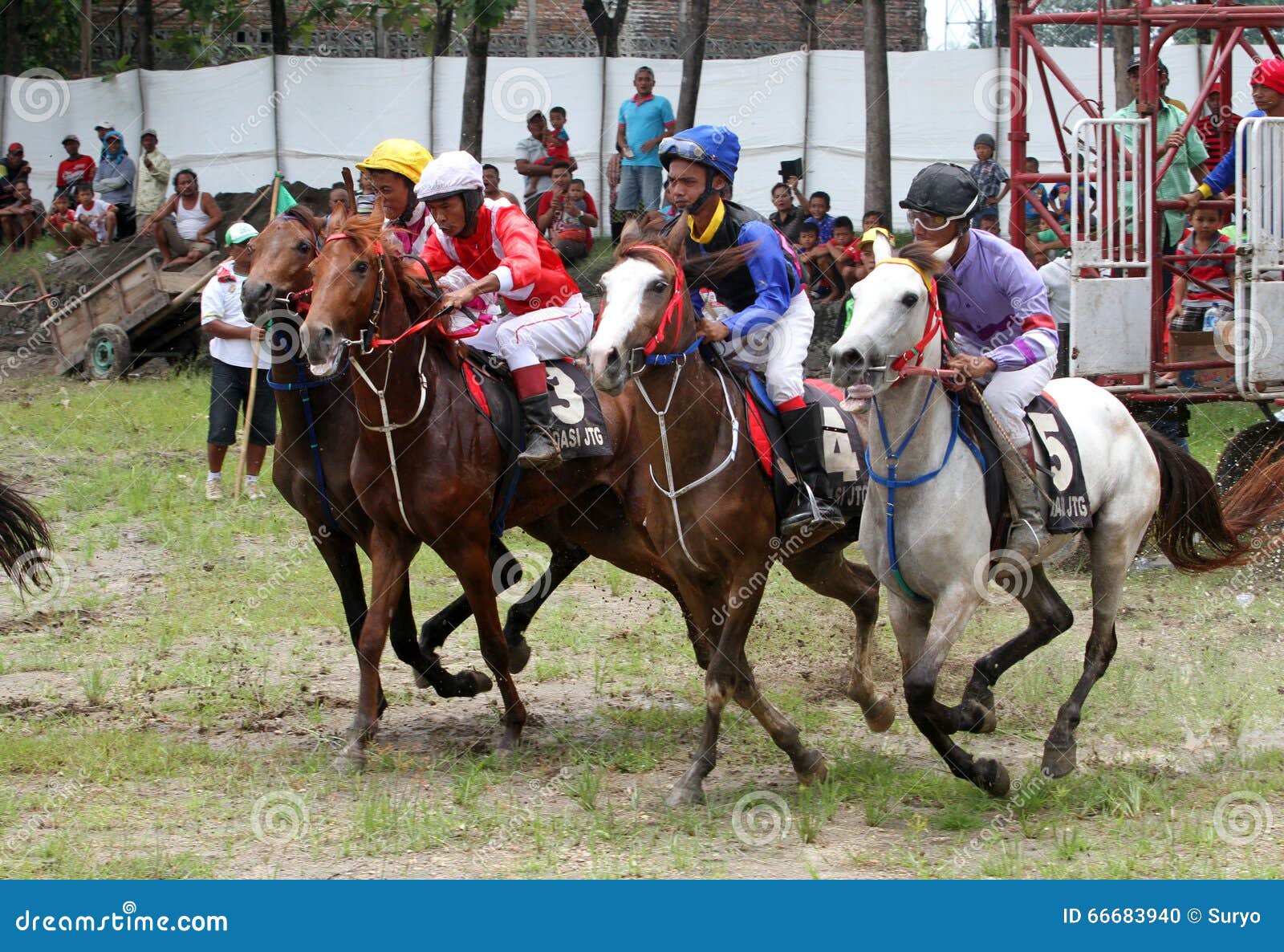 Horse race editorial image. Image of recreation, stallion - 66683940