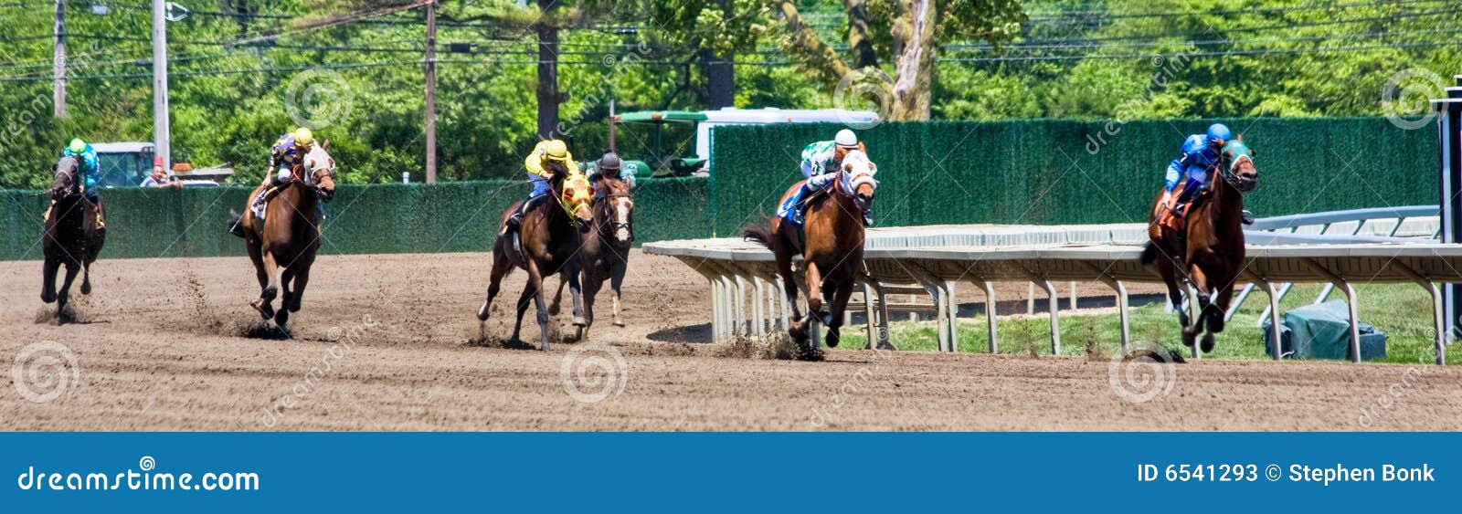 Horse Race Panorama editorial stock photo. Image of competition - 6541293