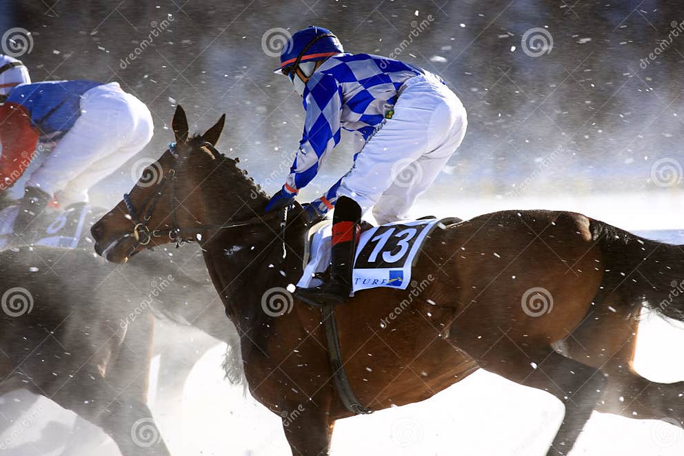 Horse Race on the Snow editorial photography. Image of championship ...
