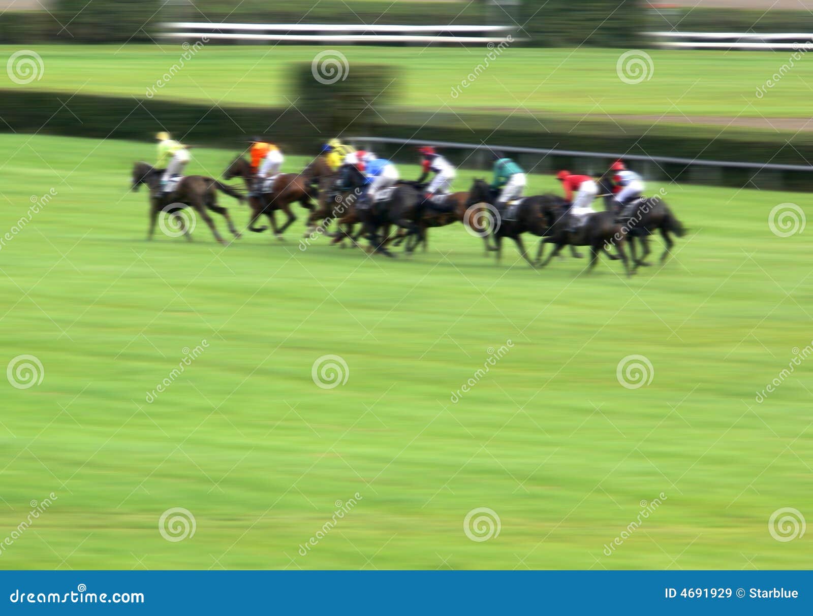 Horse race sprint stock image. Image of horses, competition - 4691929