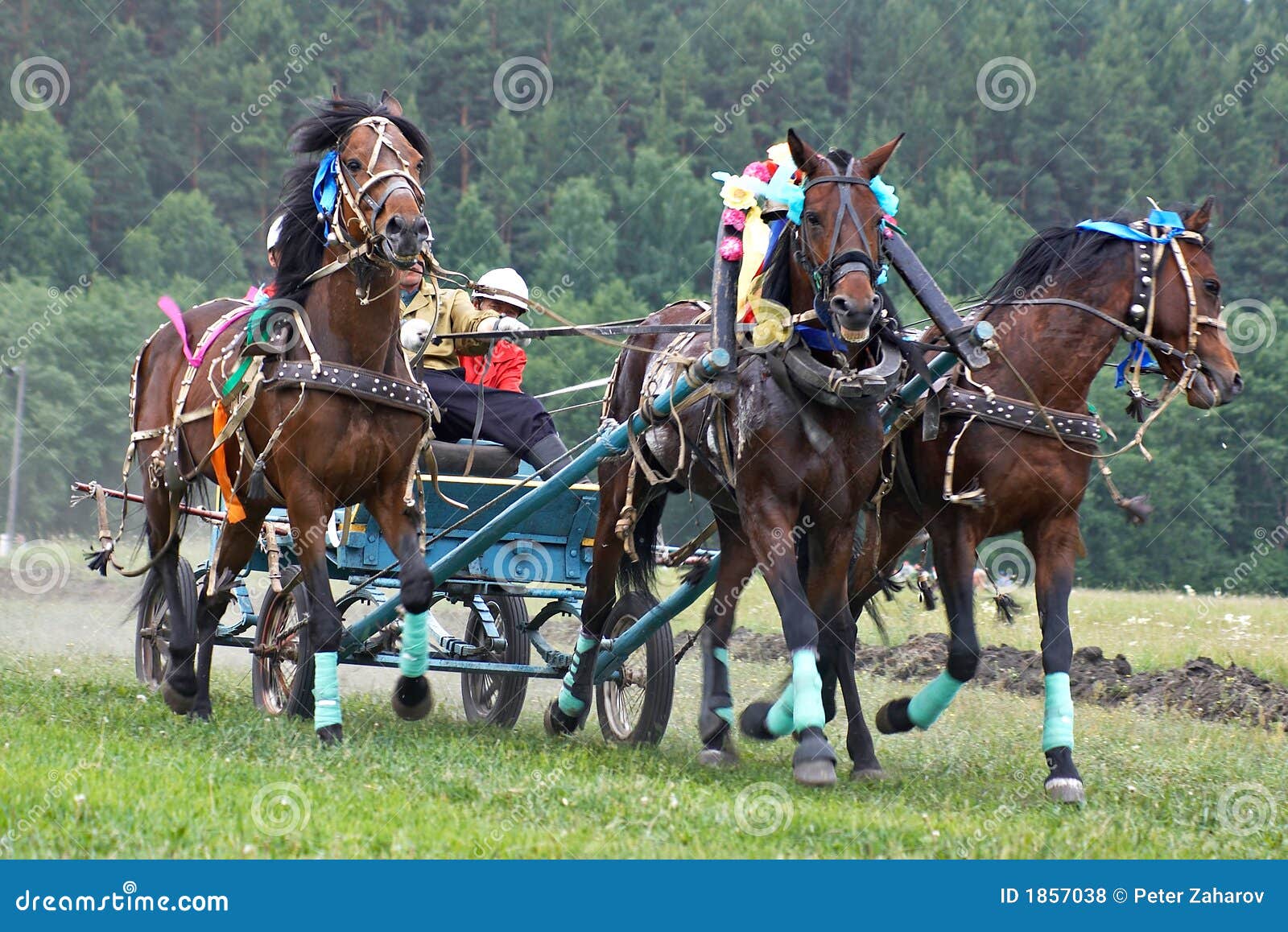 Horse Race. Three Horses in Harness Stock Photo - Image of jockey ...