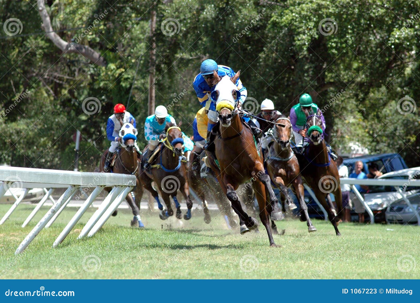Horse racing stock image. Image of jockey, fast, track - 1067223