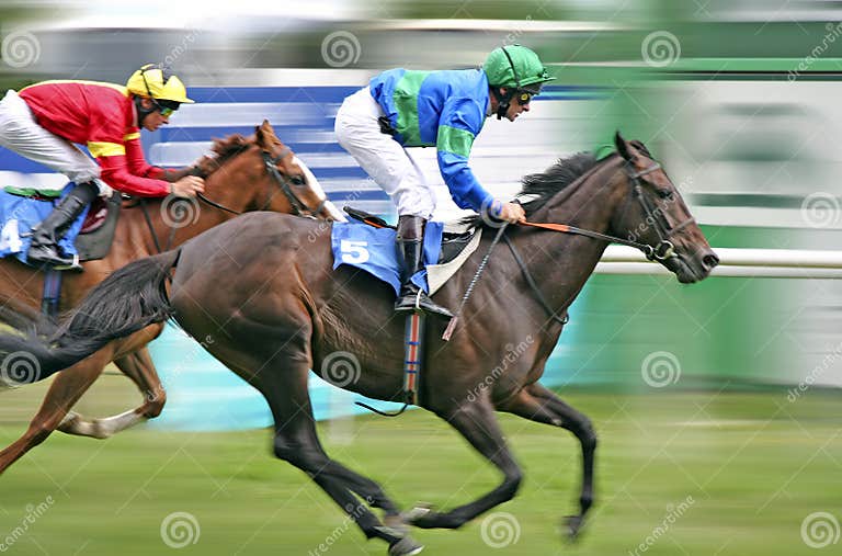 Horse Racing stock photo. Image of horseracing, gambling - 1169450