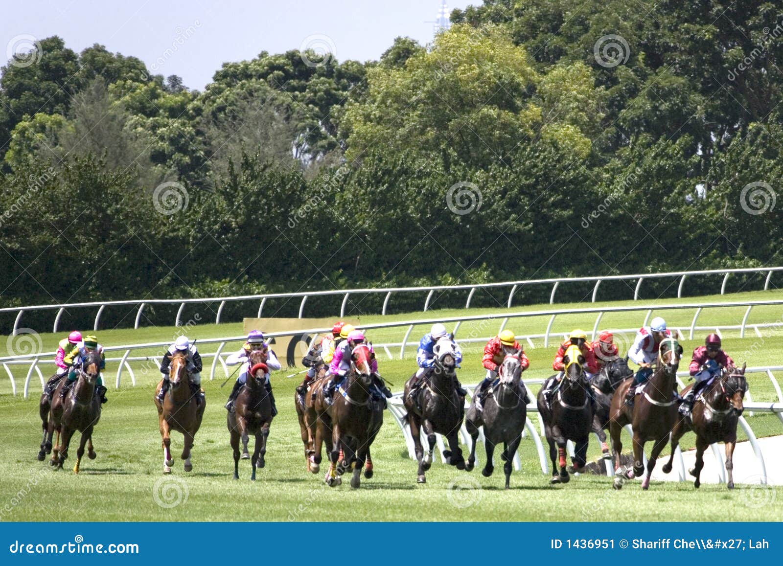 Horse Racing stock image. Image of racehorse, animal, bets - 1436951