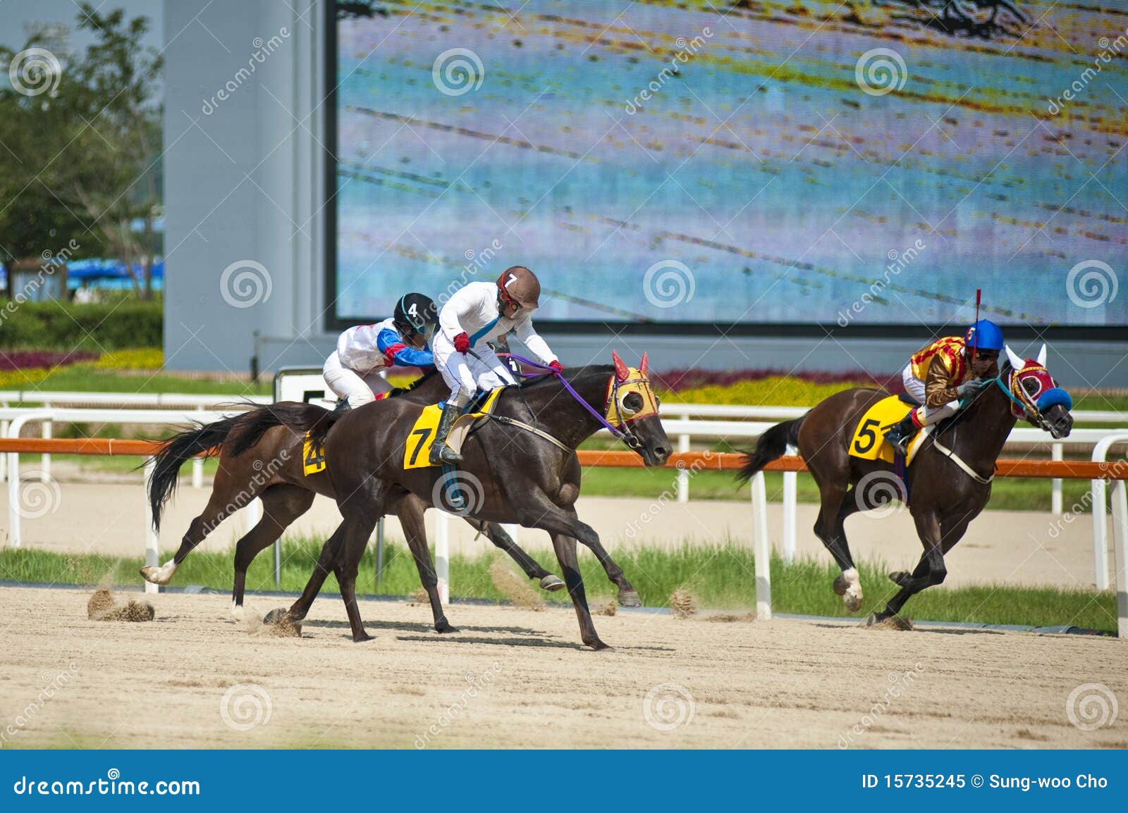 Korean Racecourse Horse Racing Scene Stock Photos - Free & Royalty-Free ...