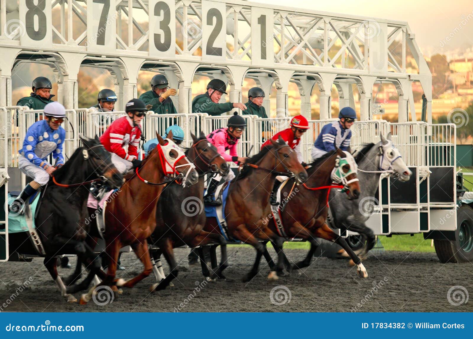 Horse Racing editorial photography. Image of helmet, breed - 17834382