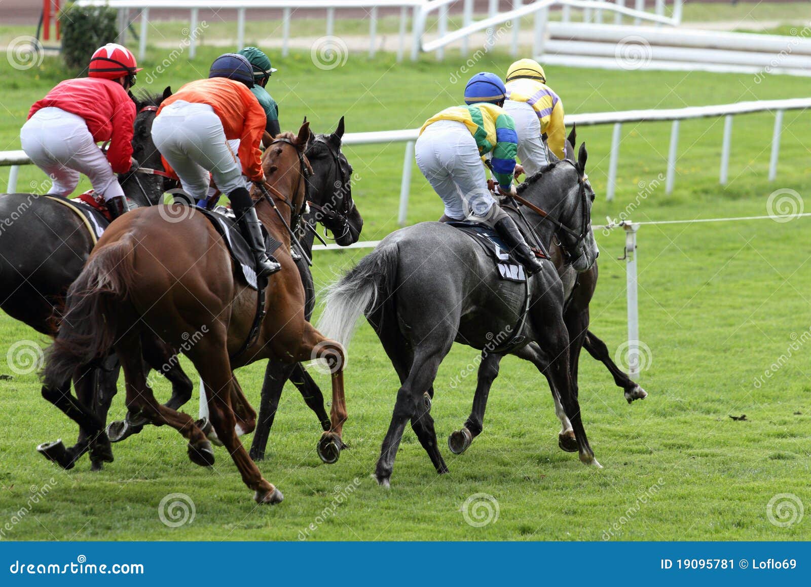 Horse Racing stock image. Image of racehorse, animal - 19095781