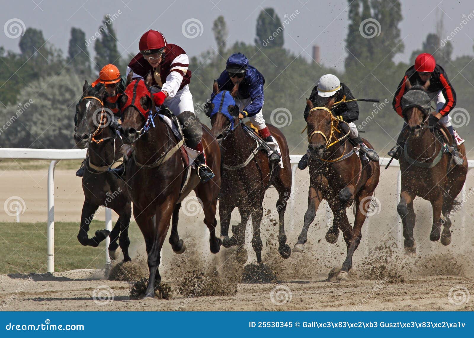 Horse racing_2 editorial image. Image of fast, action - 25530345