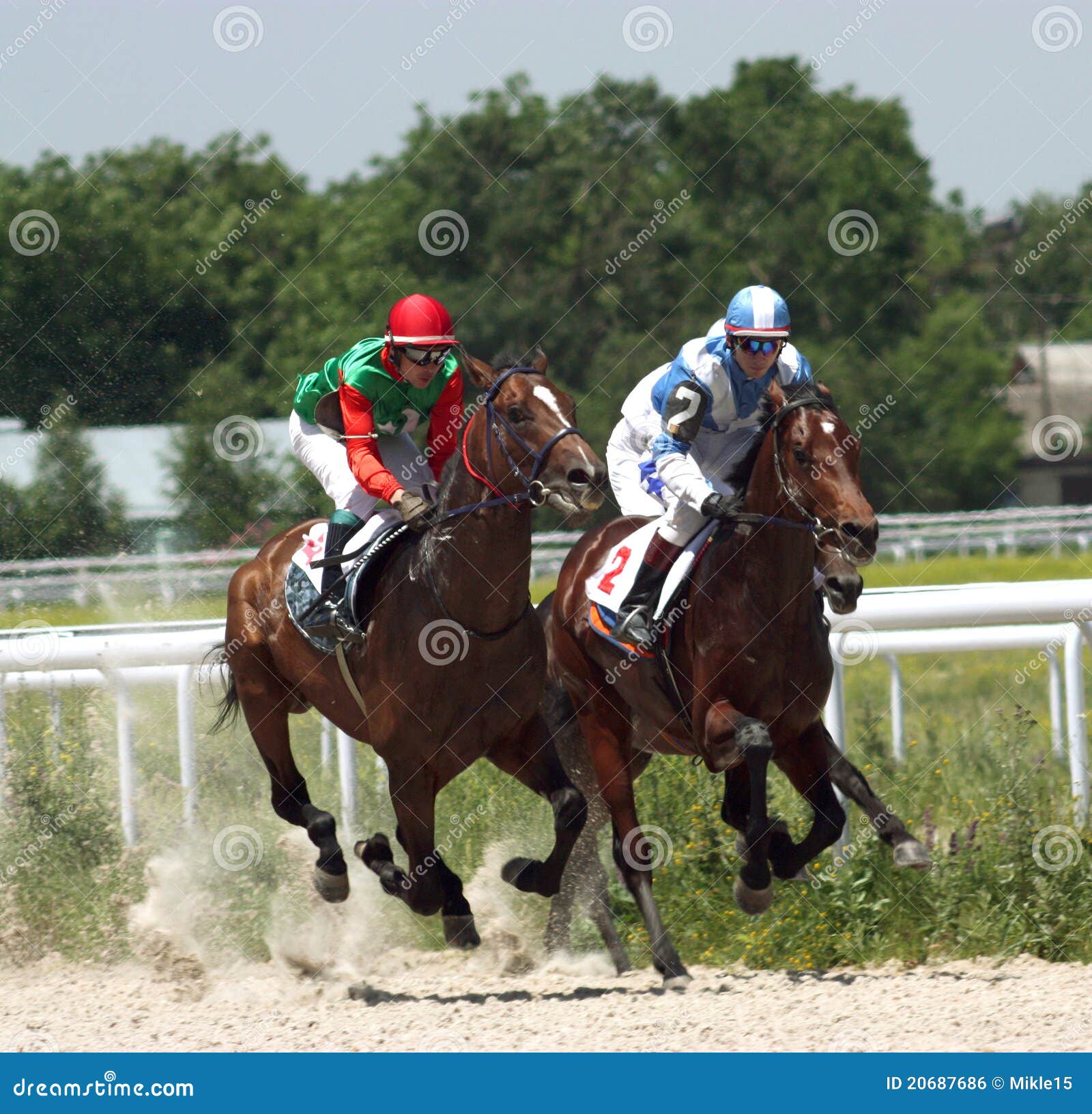 Horse racing. stock photo. Image of sport, sportsmen - 20687686