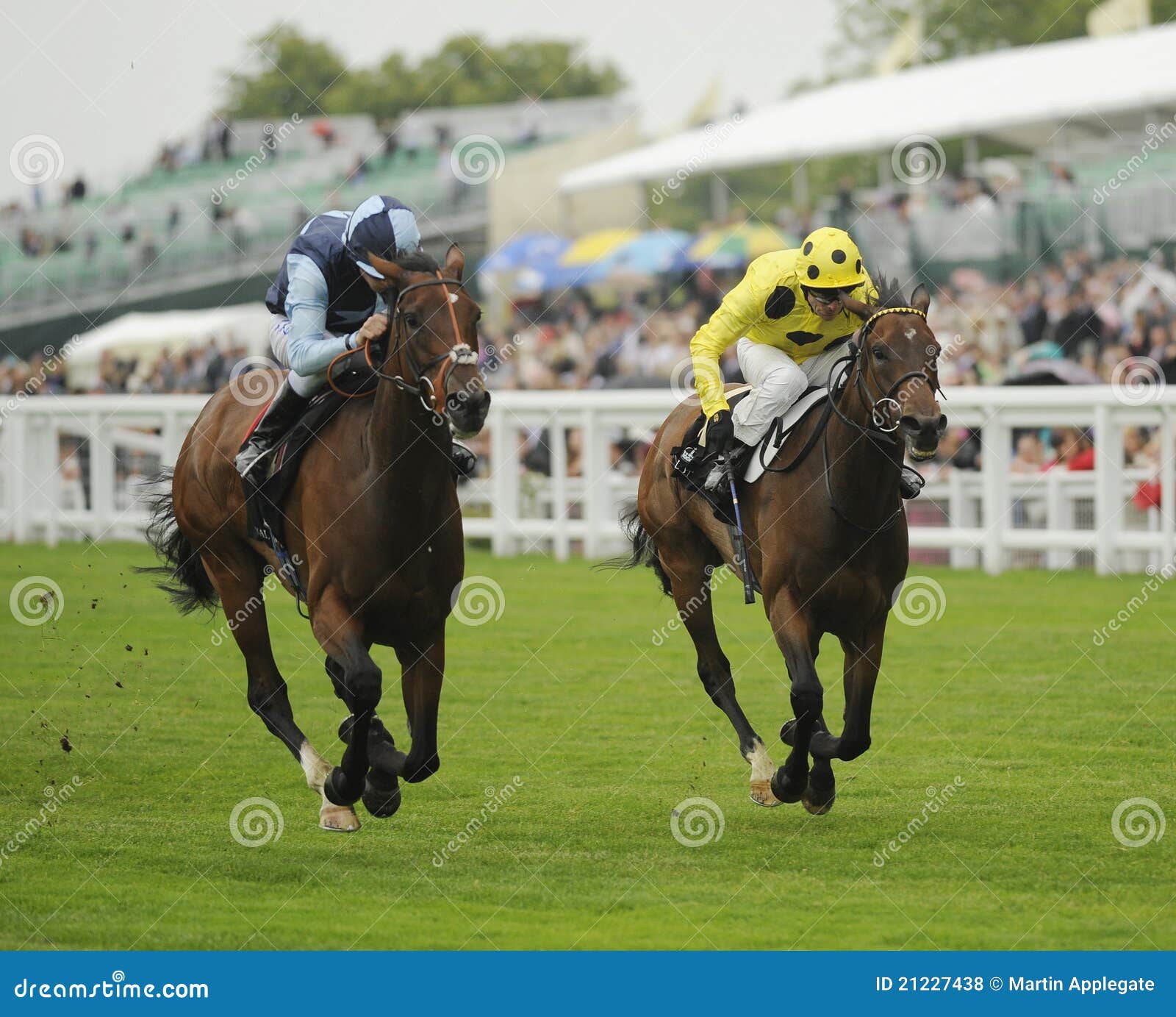 Horse Racing editorial stock photo. Image of equestrian - 21227438