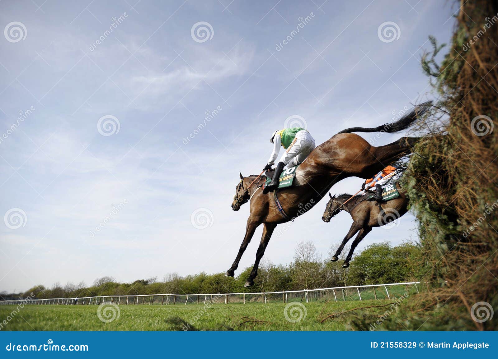 Horse Racing editorial stock image. Image of betting - 21558329