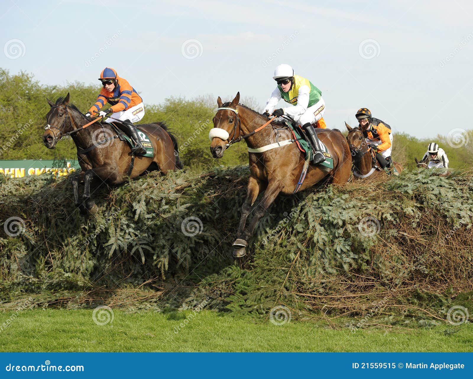 Horse Racing editorial image. Image of fences, turf, races - 21559515