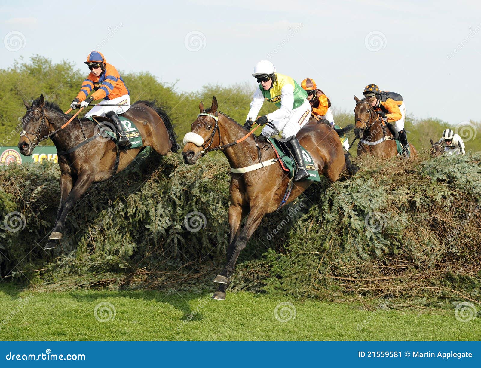 Horse Racing editorial photo. Image of speed, fast, jumping - 21559581