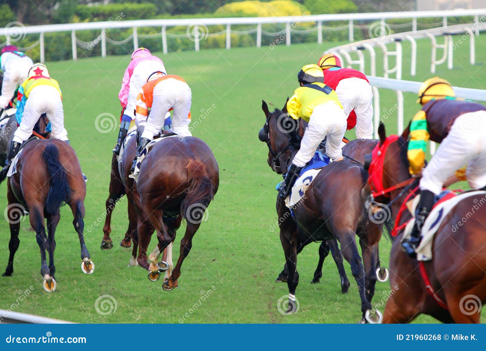 Horse Racing editorial stock photo. Image of horse, racecourse - 21960268