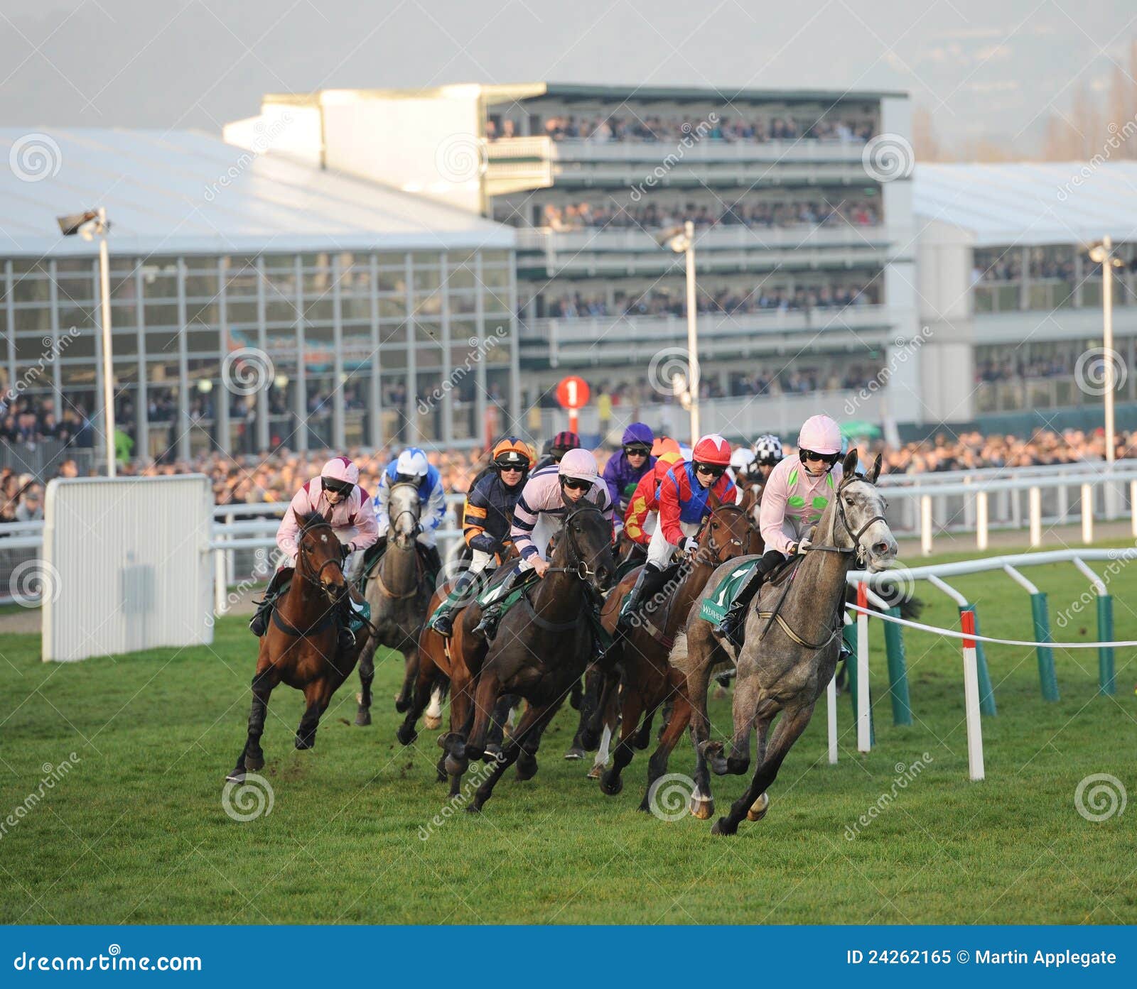 Horse Racing Champagne Fever Wins Stock Photos - Free & Royalty-Free ...