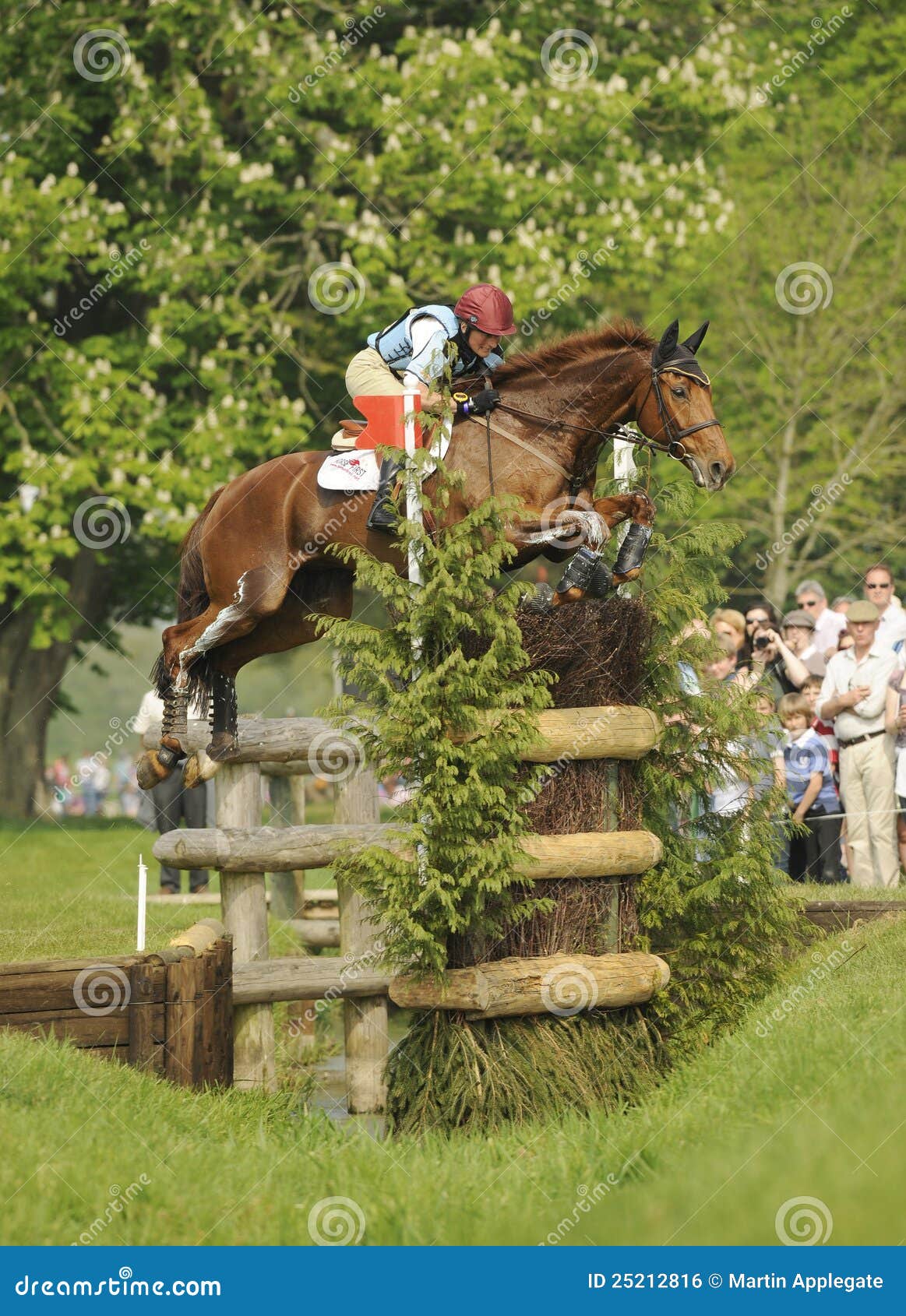 Horse Racing editorial photo. Image of sport, fence, rider - 25212816