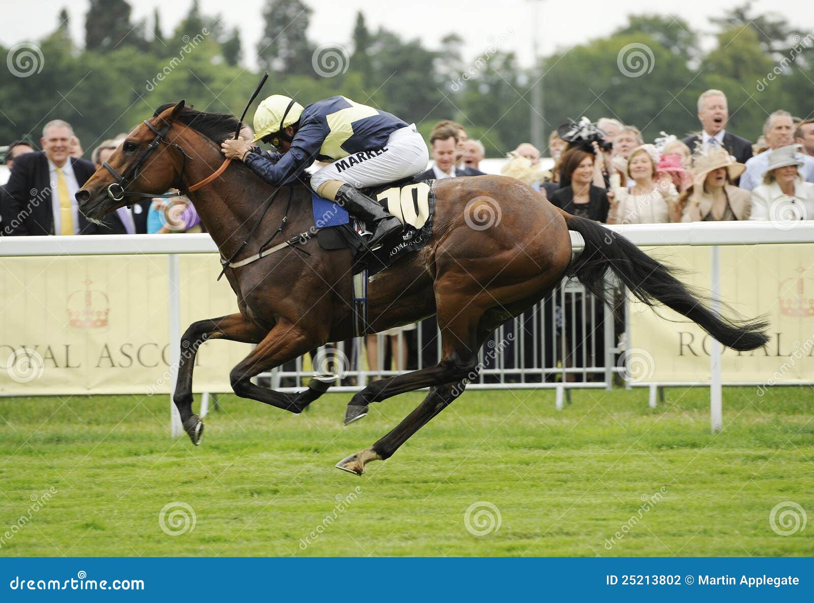 Horse Racing editorial photography. Image of saddle, fences - 25213802