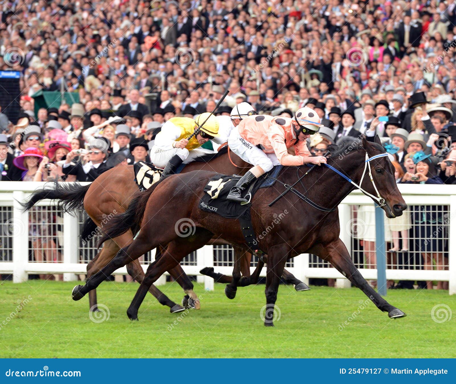 Horse Racing editorial photography. Image of rider, jump - 25479127