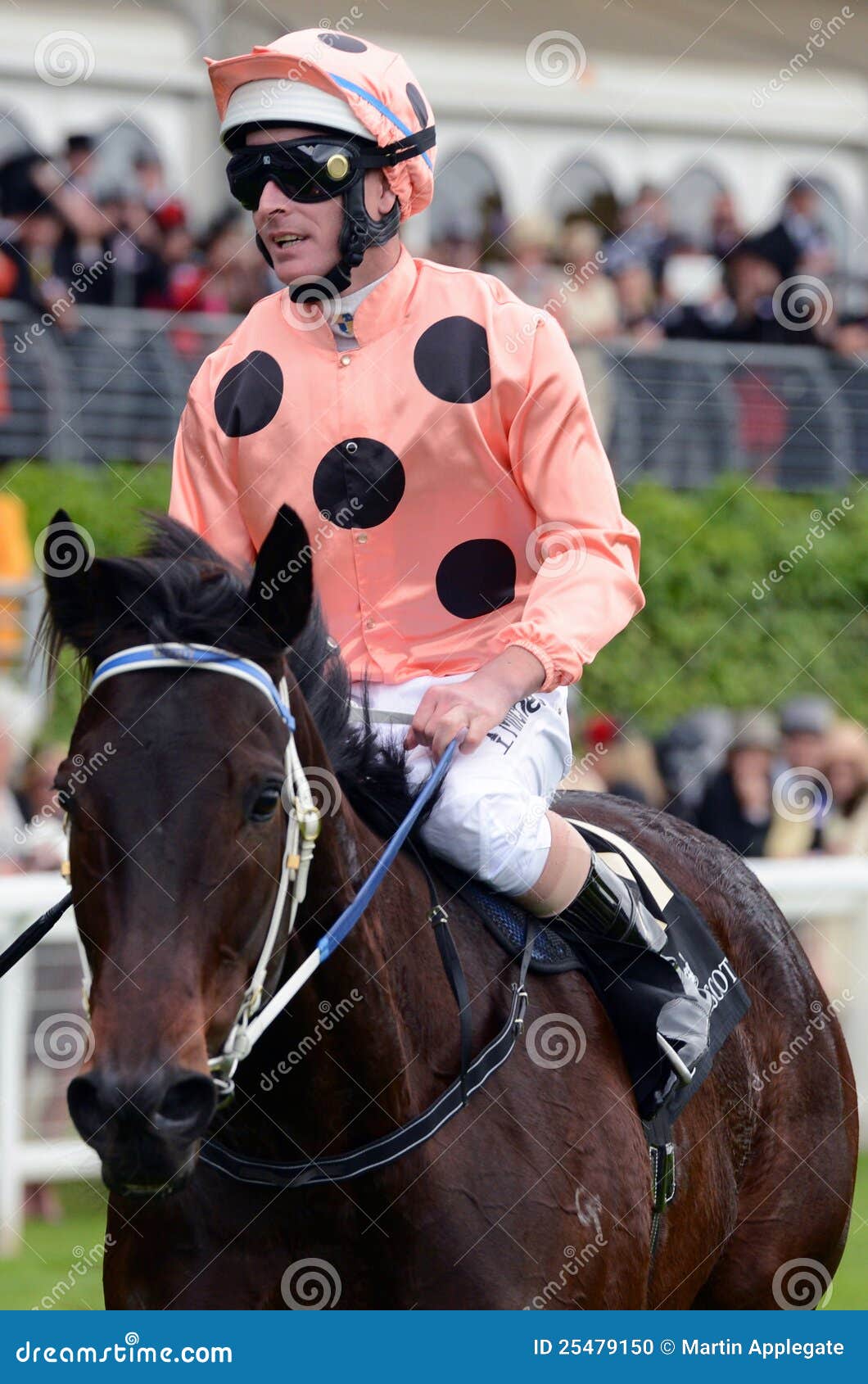 Horse Racing editorial image. Image of handicap, equestrian - 25479150