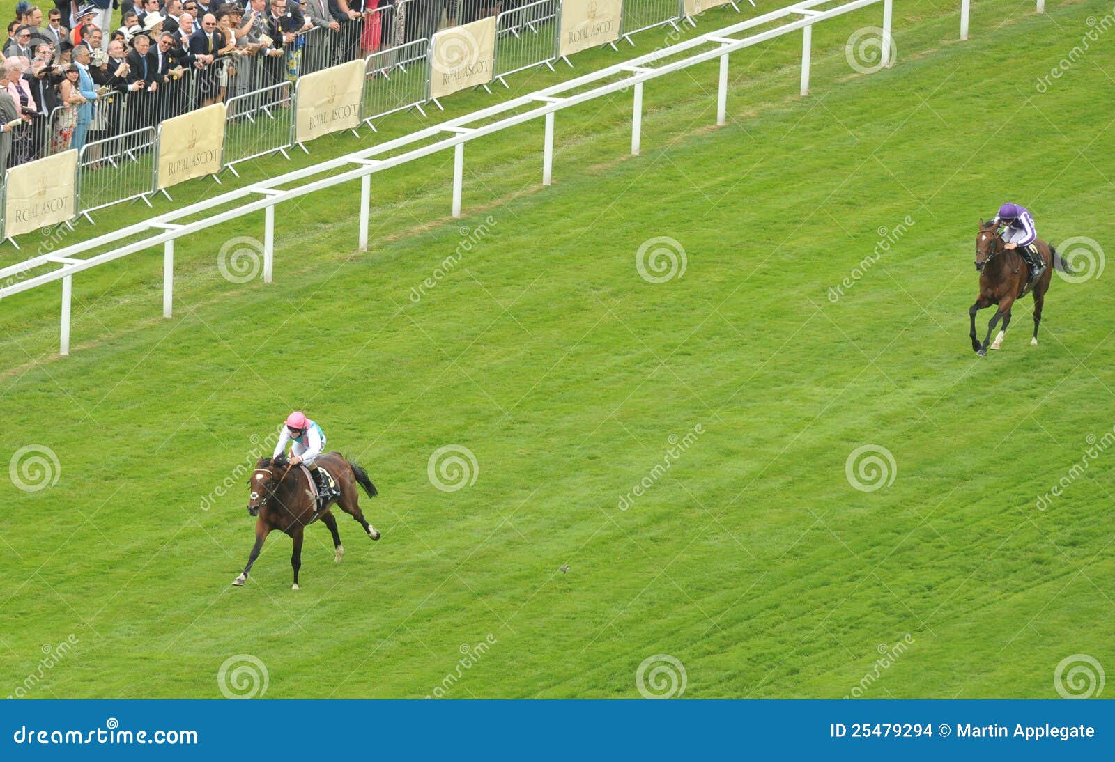 Horse Racing editorial stock image. Image of fences, winning - 25479294
