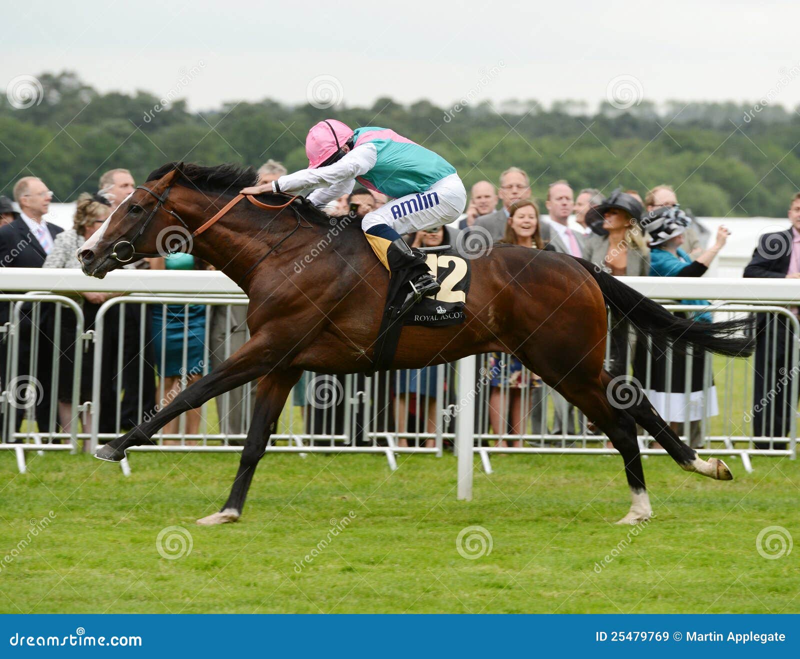 Horse Racing editorial stock image. Image of competition - 25479769