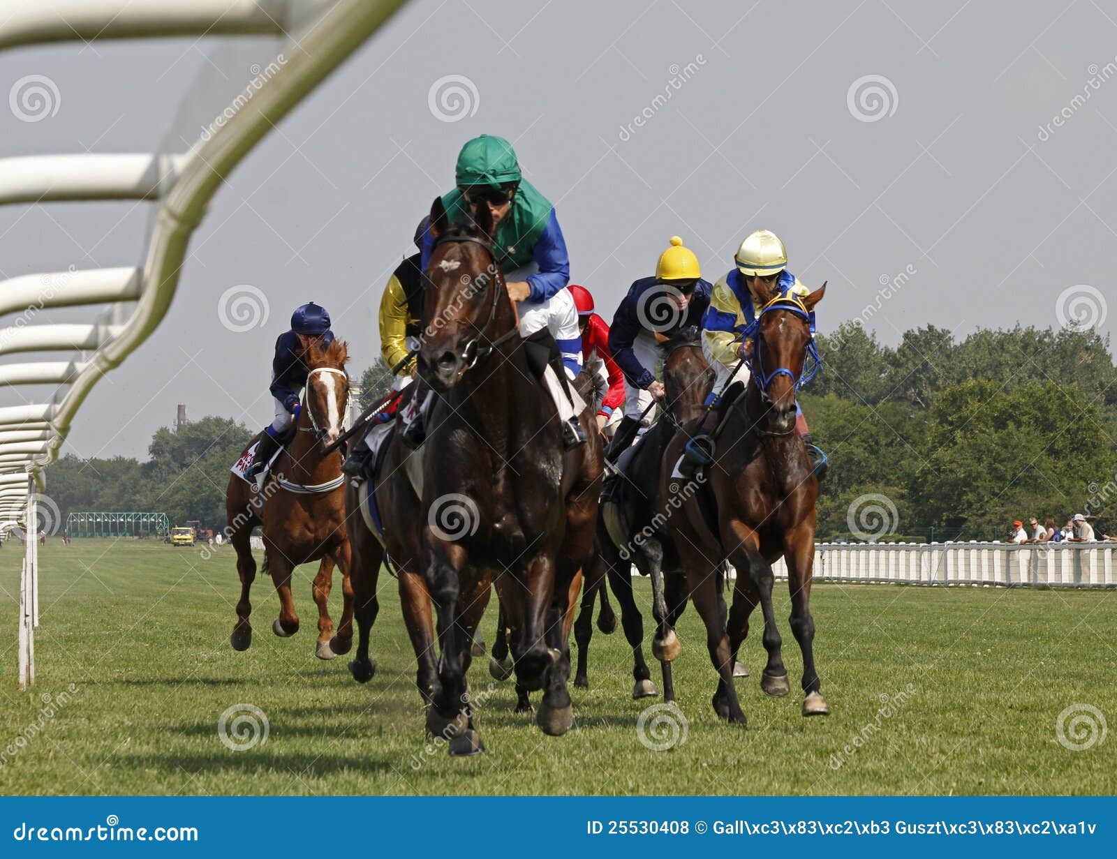 Horse racing_3 editorial stock photo. Image of horse - 25530408