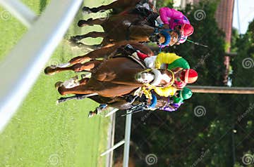 Horse racing stock image. Image of gambling, caribbean - 455711