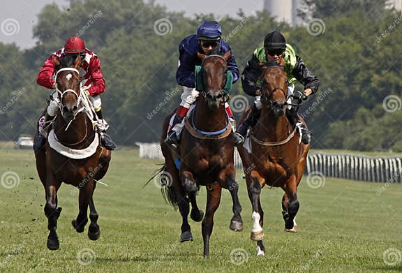 Horse racing_5 editorial stock image. Image of racing - 25530489