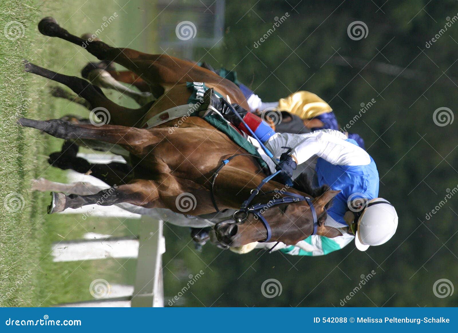Horse racing stock photo. Image of sports, racecourse, mammal - 542088