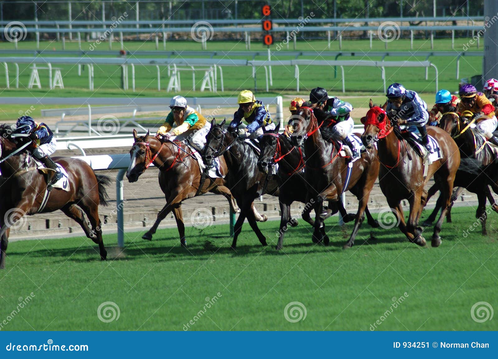 Horse racing stock image. Image of speed, athlete, competition - 934251