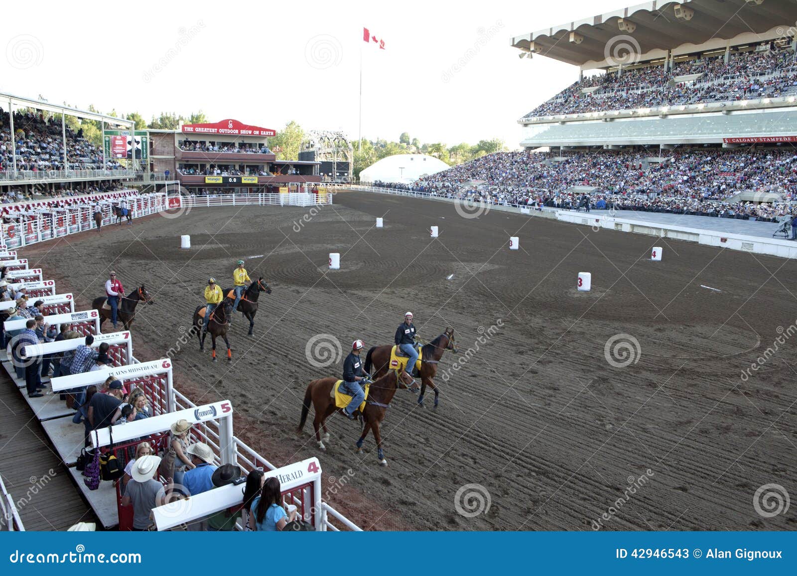 Horse Racing at Calgary Stampede Editorial Stock Photo - Image of city ...
