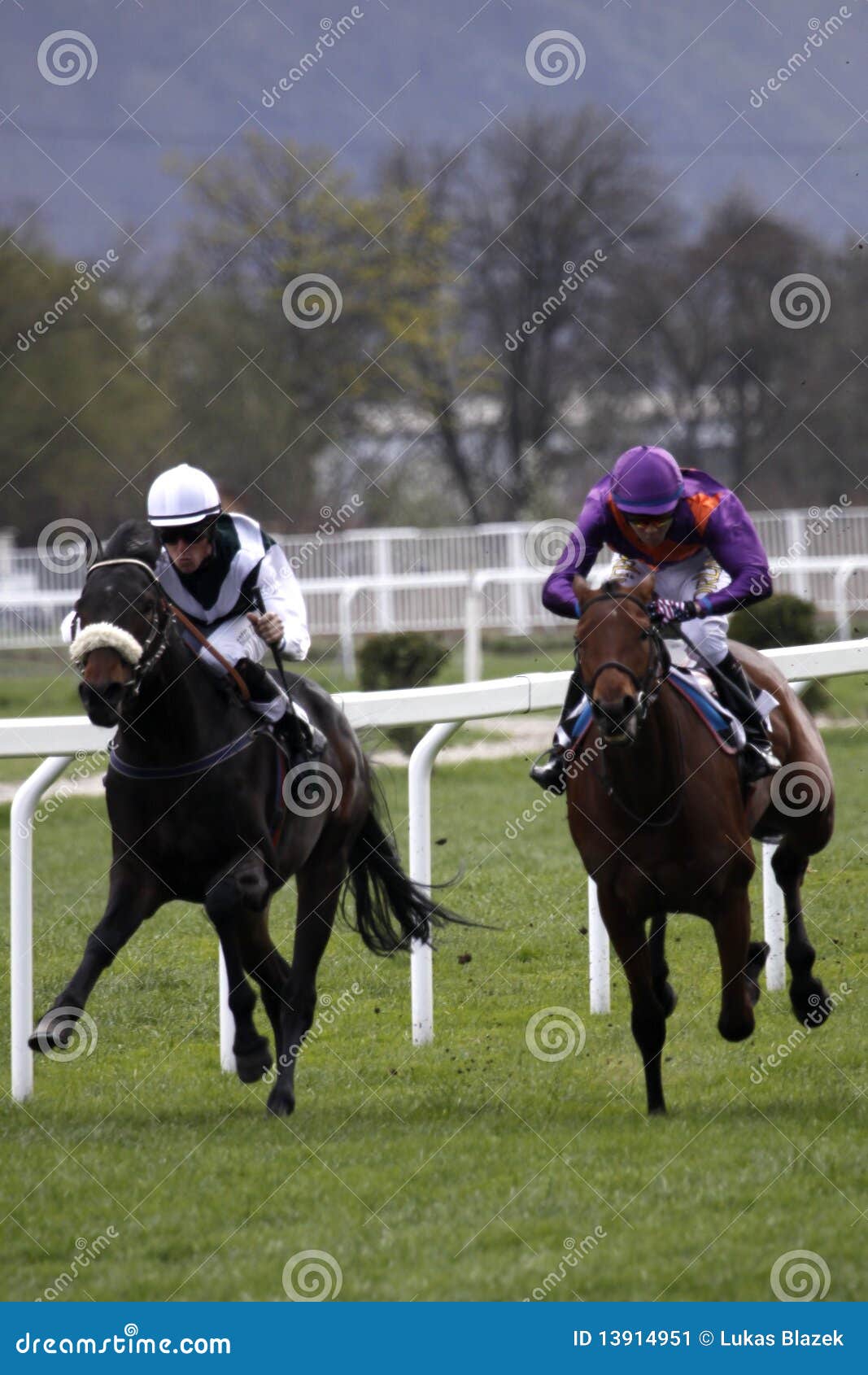 Horse Racing Competition in Prague Editorial Photo - Image of prix ...