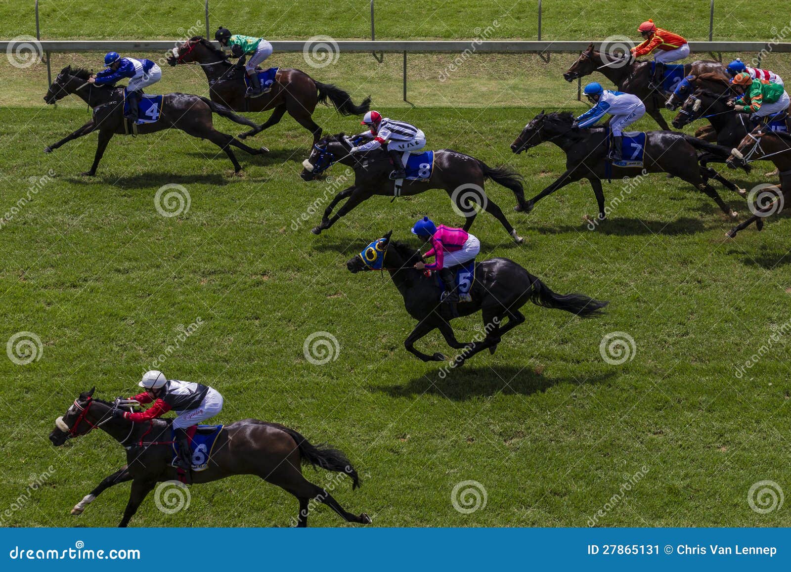 Horse Racing Final Sprint editorial photo. Image of dangerous - 27865131