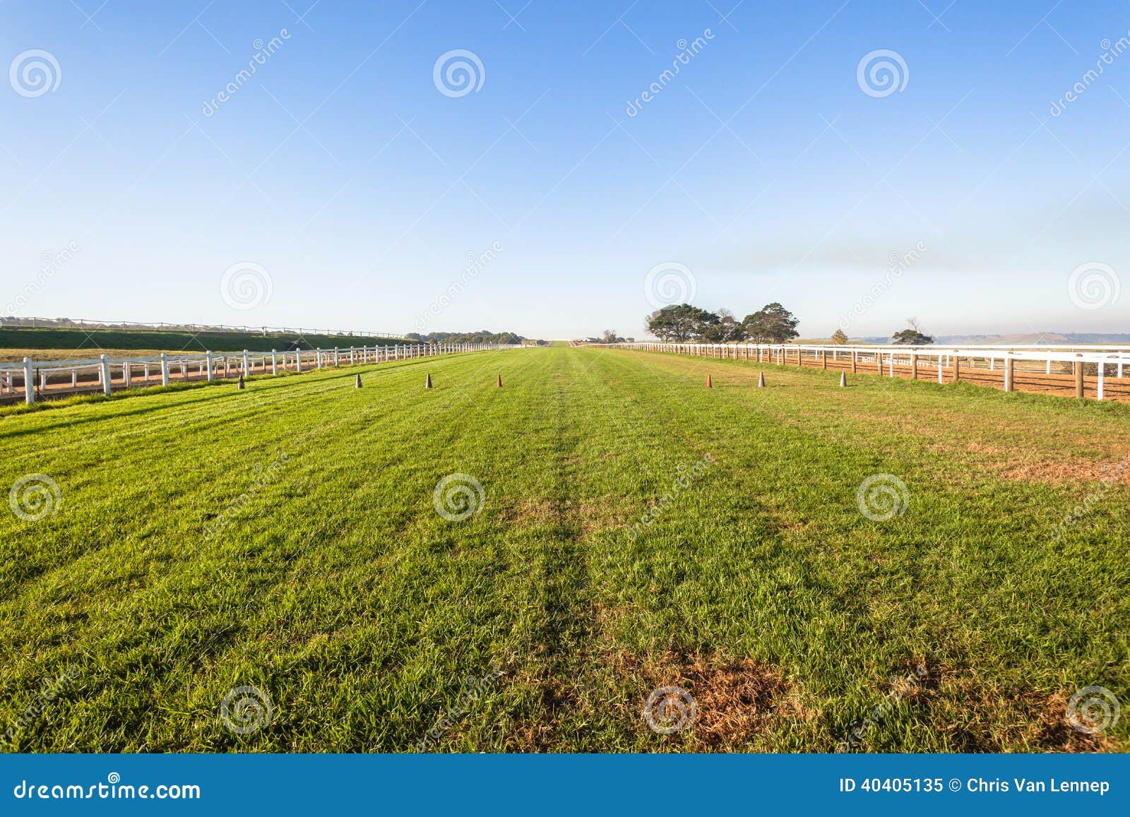 Grass And Track Texture Stock Photography | CartoonDealer.com #45936506