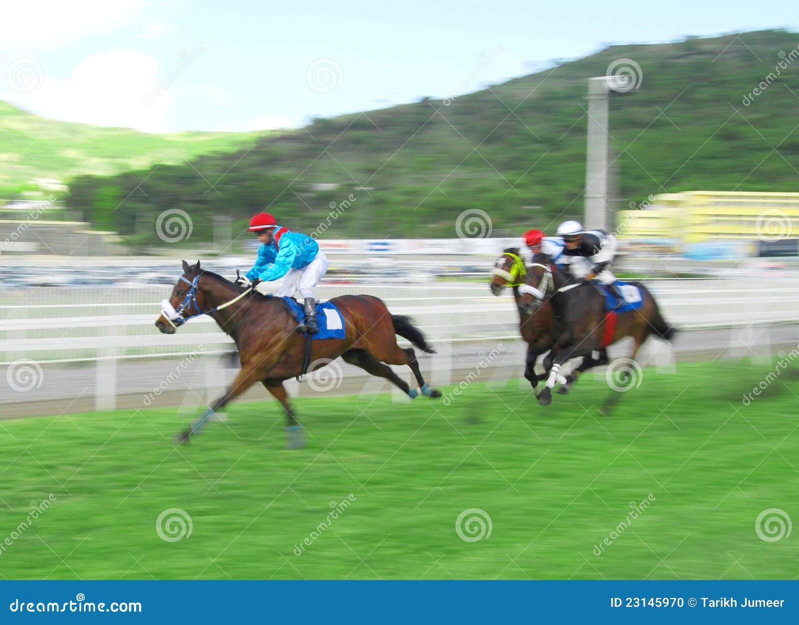 Horse racing in Mauritius editorial image. Image of speed - 23145970