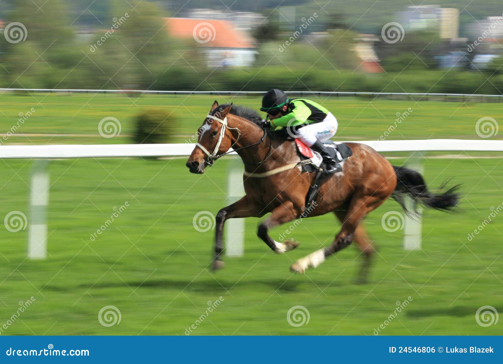 Horse Racing in Prague - Romane Conti Editorial Photo - Image of grass ...