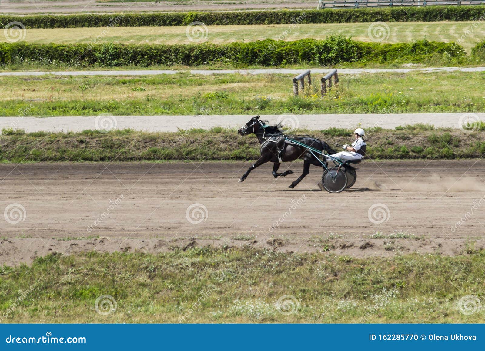 Horse Racing at a Racetrack, a Horse Harnessed To a Stroller Stock ...
