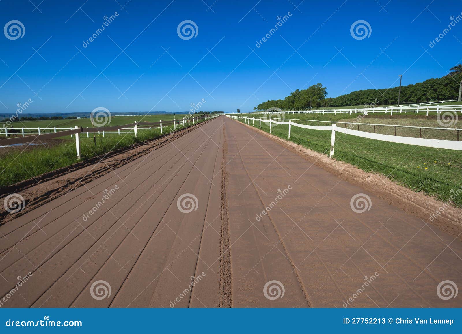 Horse Racing Sand Training stock image. Image of colors - 27752213