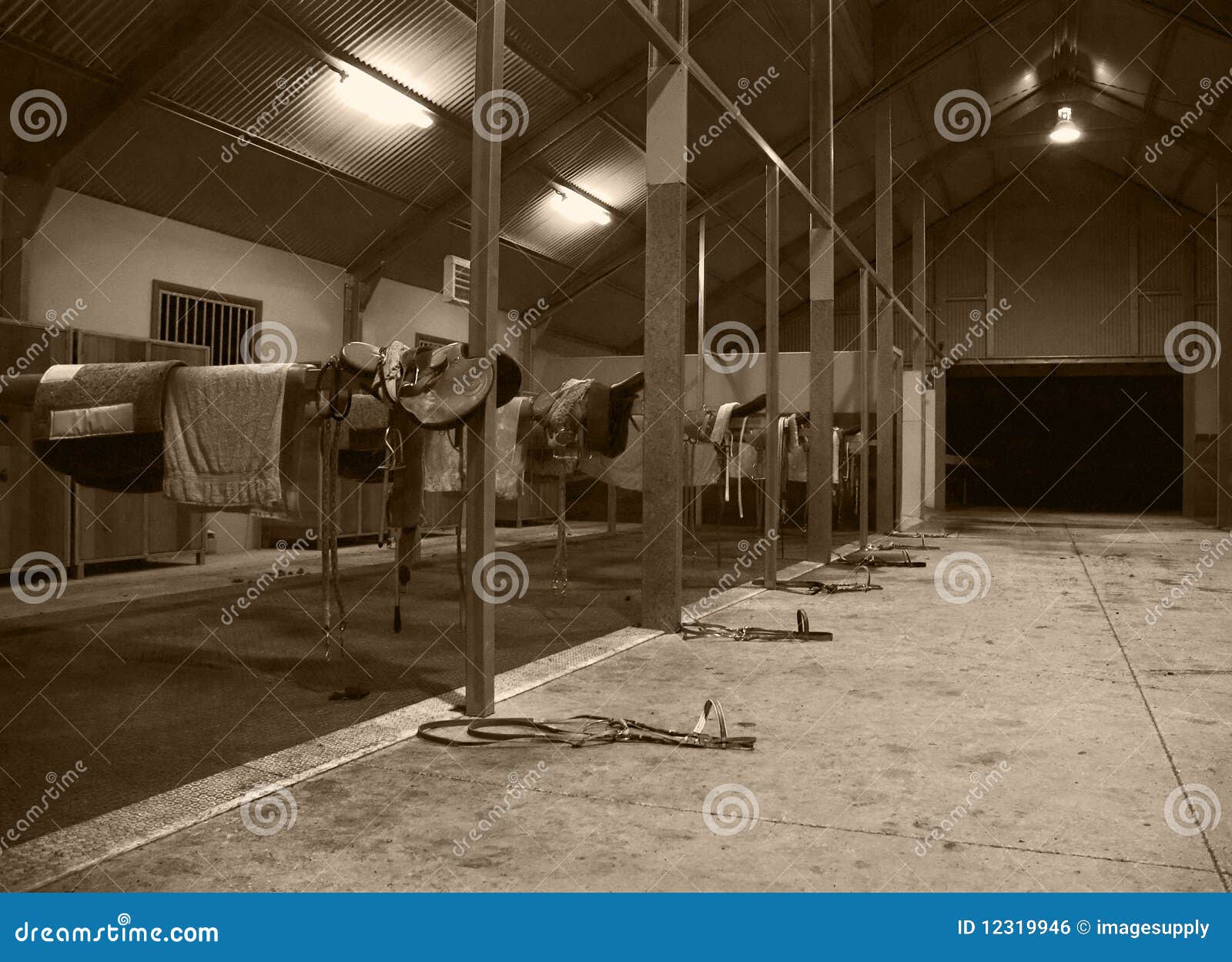 Horse racing stable stock photo. Image of training, sports - 12319946