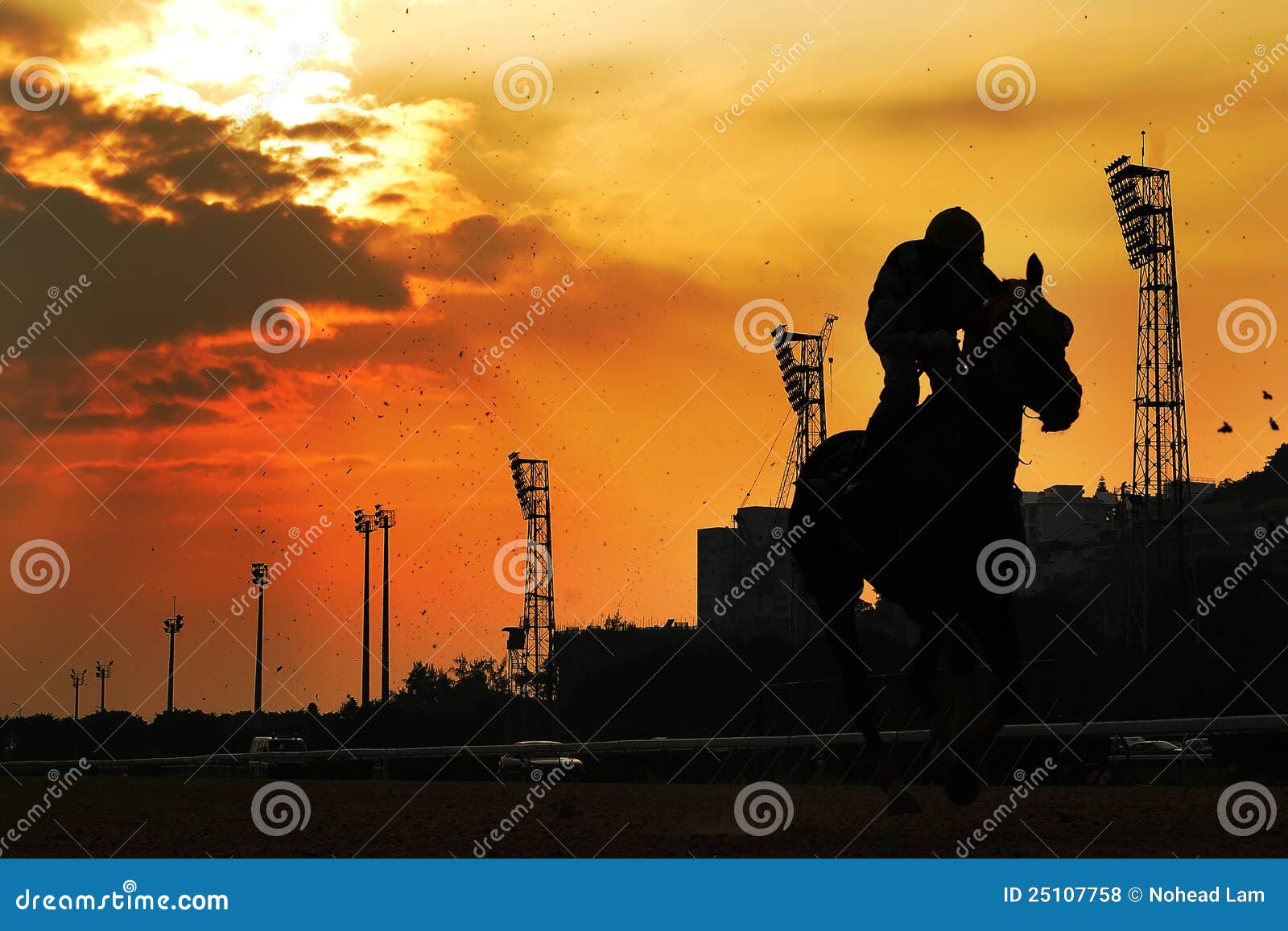 Horse racing at sunset stock photo. Image of jockey, green - 25107758