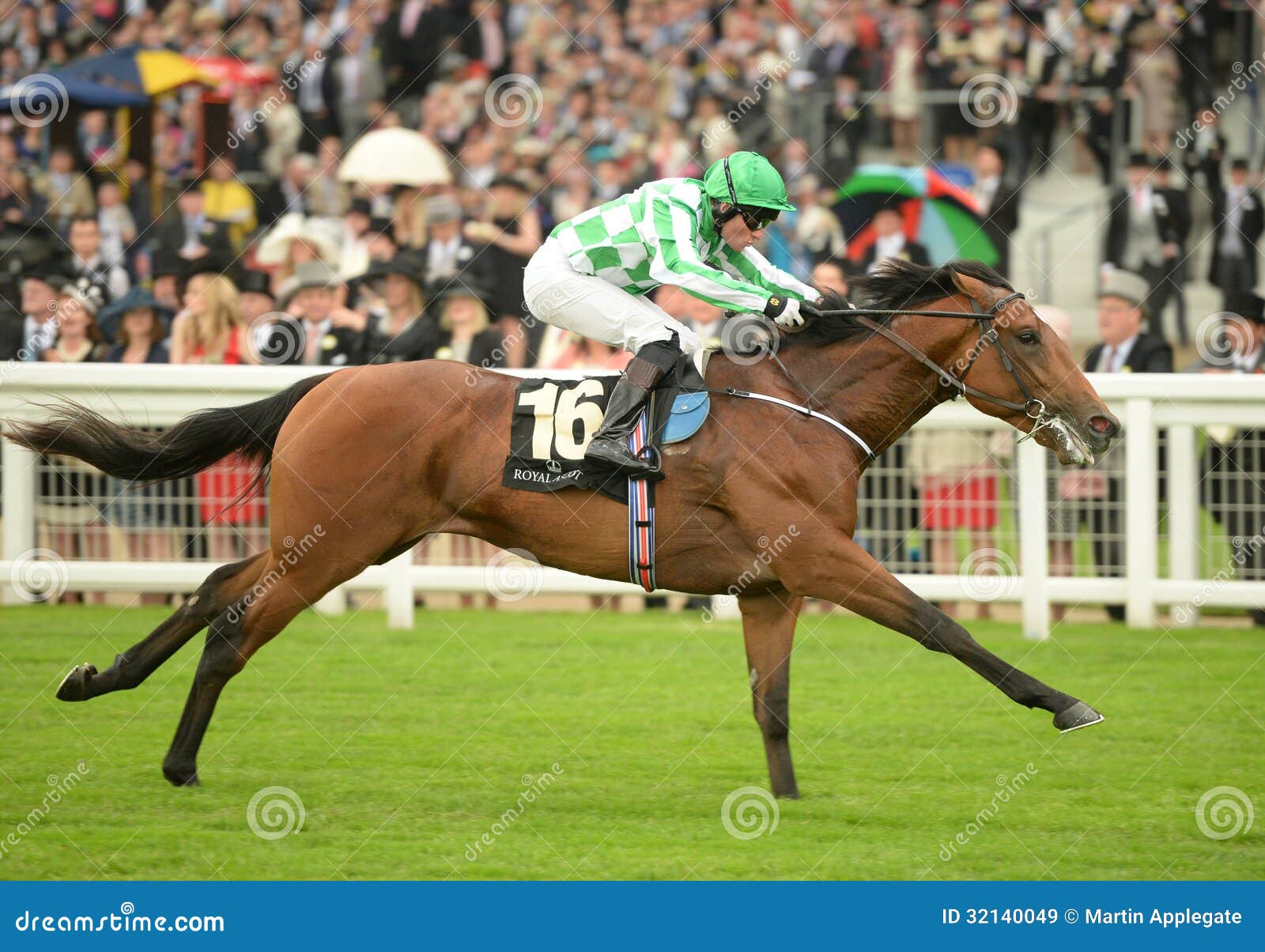 Horse Racing editorial stock image. Image of saddle, mare - 32140049