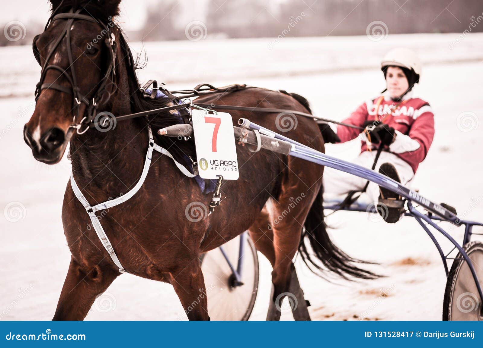 Horse Racing in the Winter on Ice Editorial Photography - Image of ...