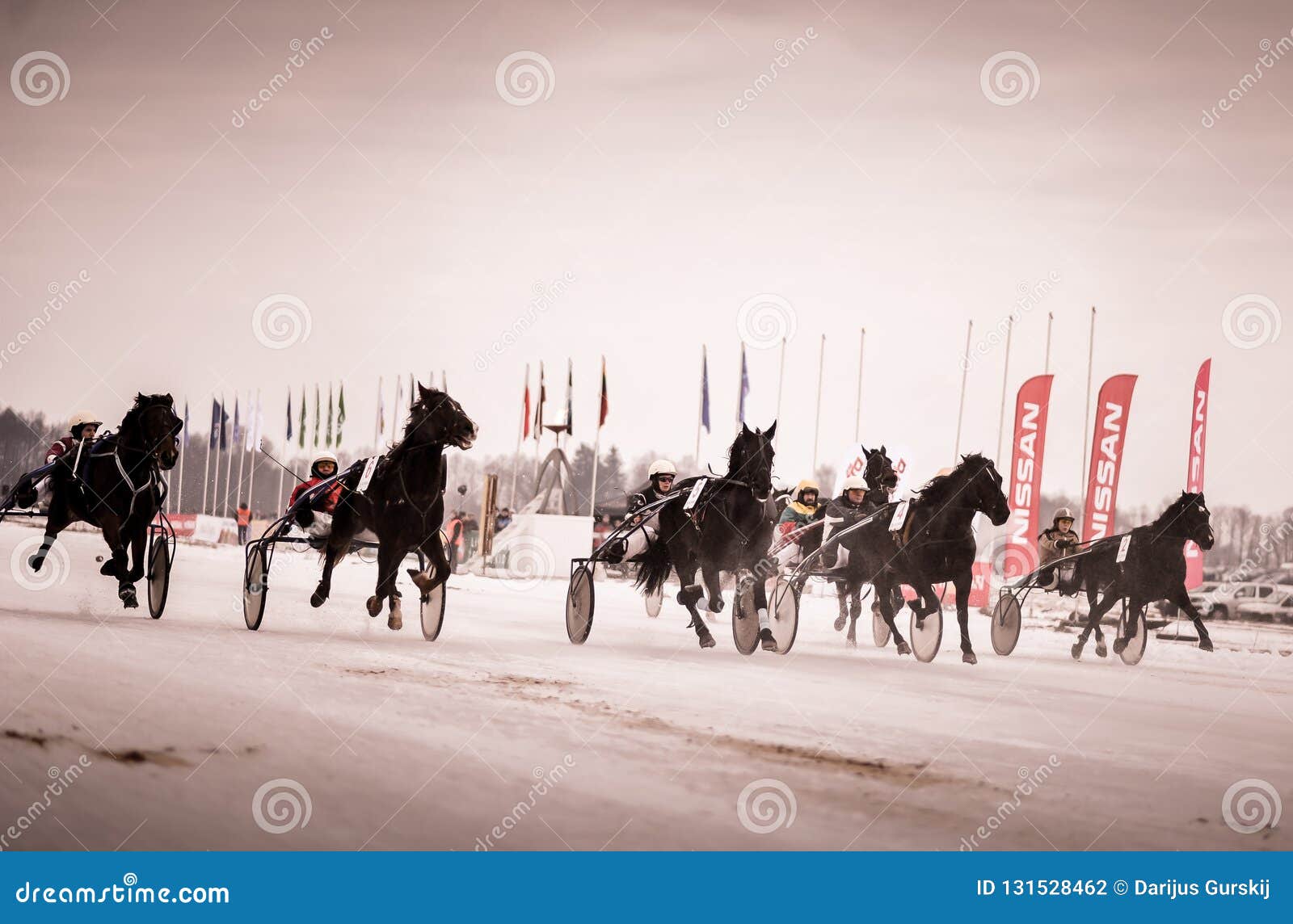 Horse Racing in the Winter on Ice Editorial Photography - Image of ...