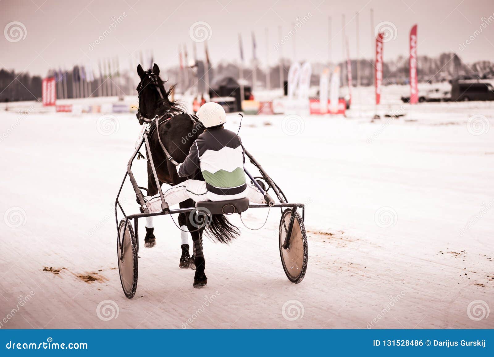 Horse Racing in the Winter on Ice Editorial Photo - Image of jockey ...