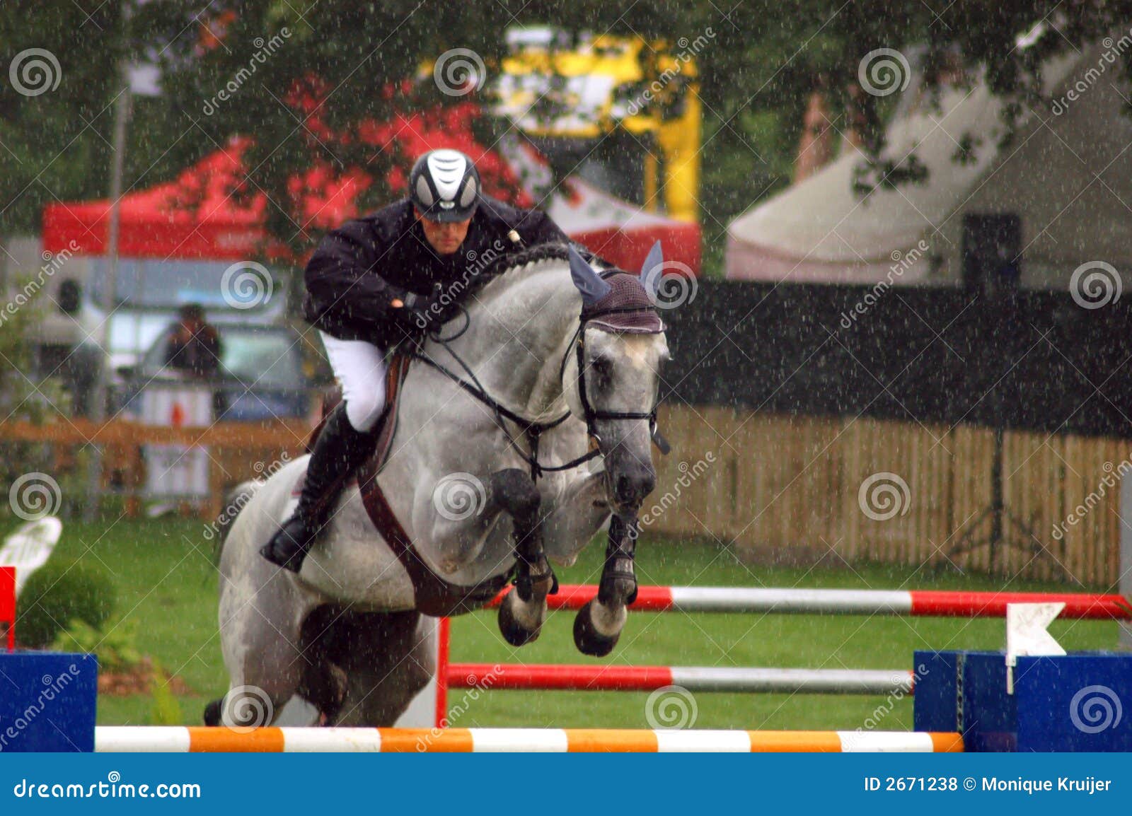 Horse in the rain stock photo. Image of riding, weather - 2671238