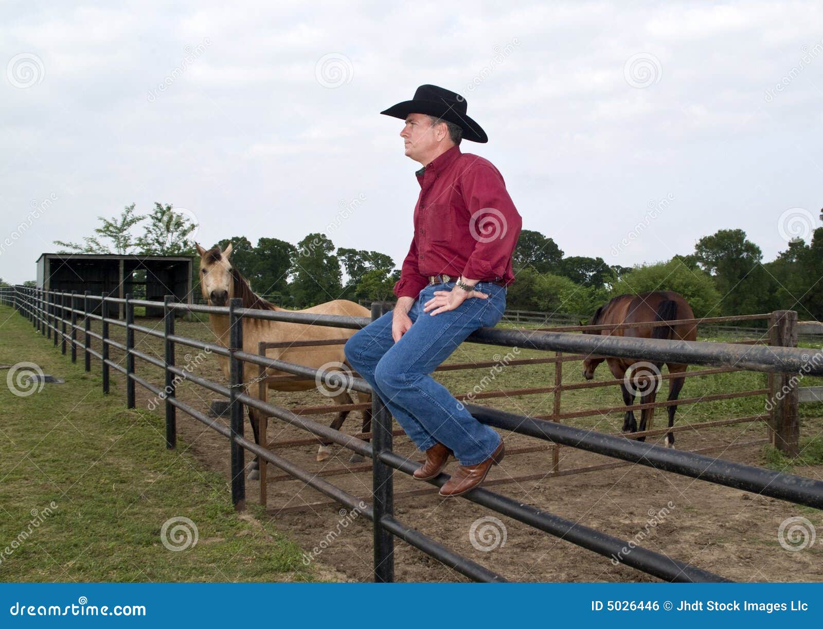 Horse Ranch stock photo. Image of cowboy, protected, herbivore - 5026446
