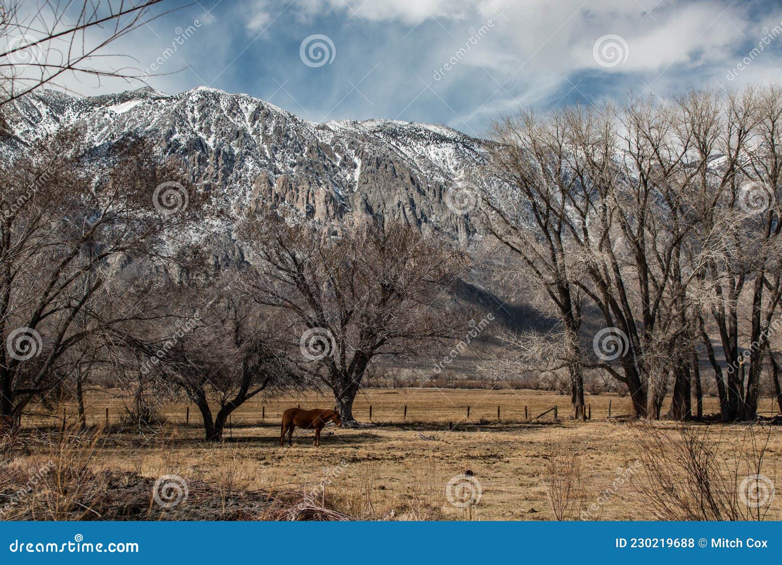 Winter Ranch stock photo. Image of hill, nature, autumn - 230219688