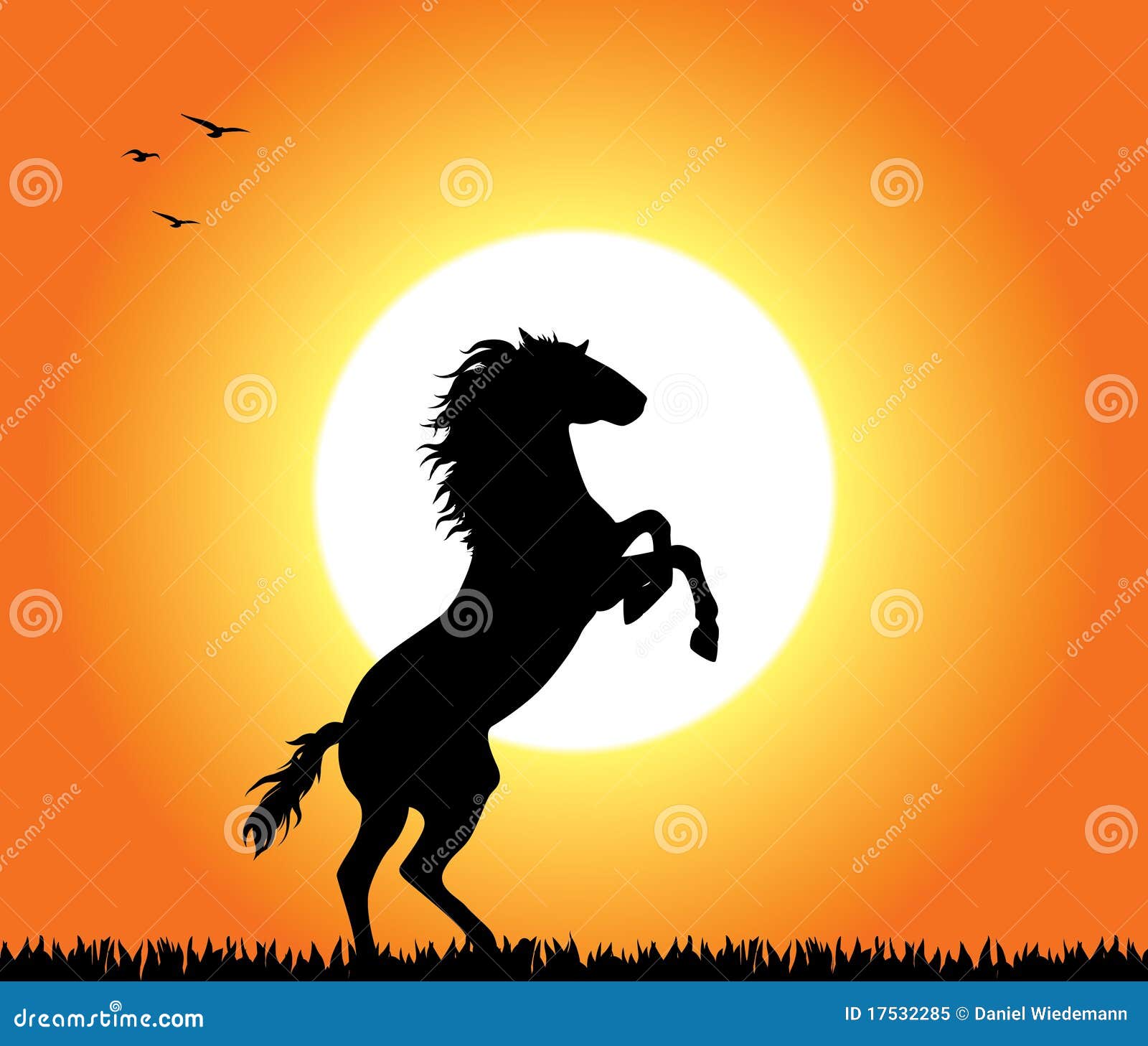 Horse Rearing In Sunset